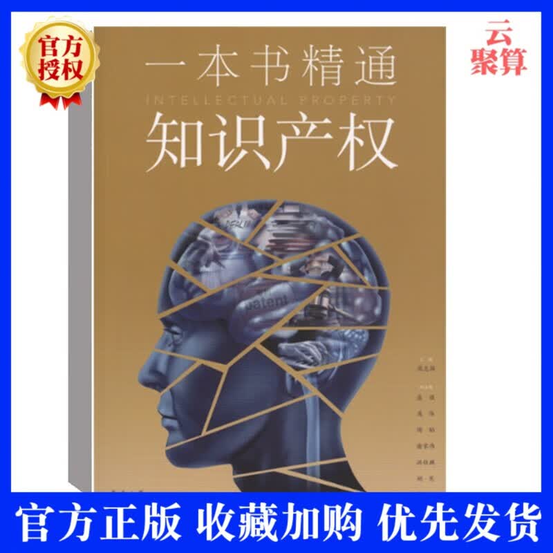 2020新书 一本书精通知识产权 周志强 关于你知识产权的保护 知识产权申请管理基础 企业公司