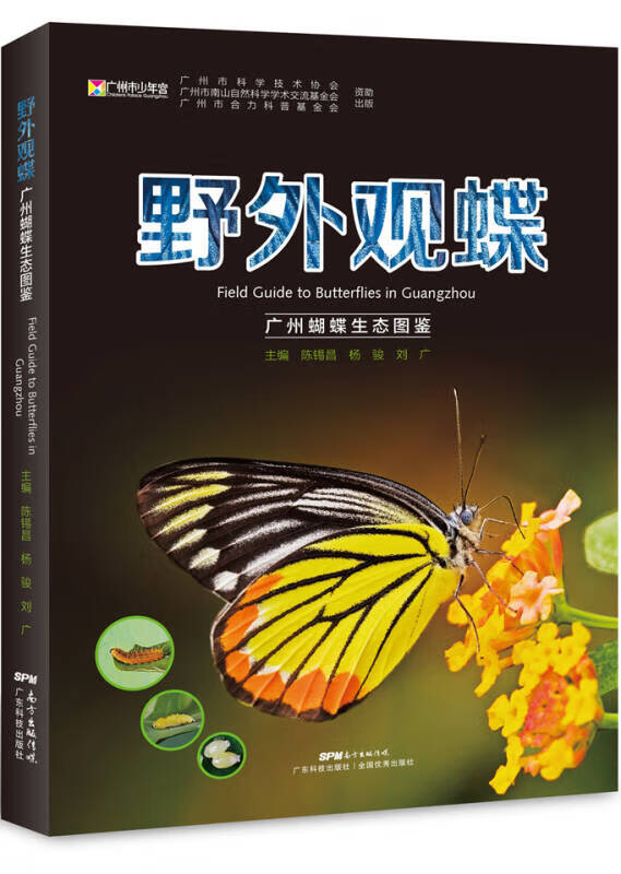 野外观蝶 广州蝴蝶生态图鉴【好书】