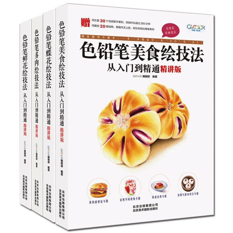 色铅笔蝶花美食多肉鲜花 绘技法从入门到精通 精讲版 铅笔画色绘画基础入门指导书籍