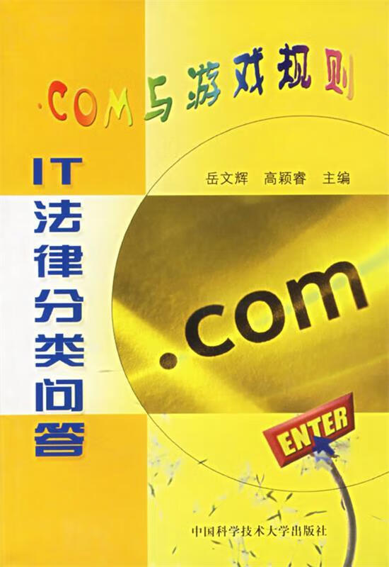 .COM与游戏规则【好书，下单速发】