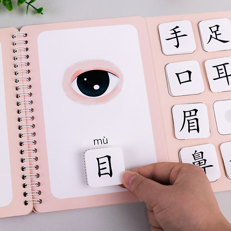 全新升级斗半匠识字书启蒙书认字游戏2-6岁适用幼儿园早教认字卡262个生字幼儿学前识字教材全套十册良 认识五官