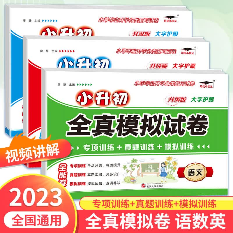 2023新知识集锦语文升级版大字护眼全国版小学生1-6年级统编语文知识大全文学常识字词成语归纳六年级小升初 23版小升初模拟试卷【语数英】3本 小学通用