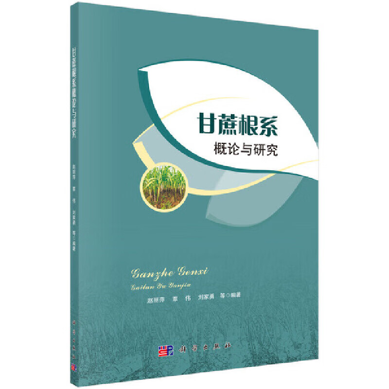 甘蔗根系学