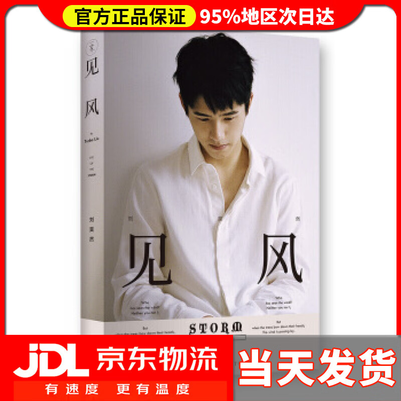 见风 刘昊然 著 中国友谊出版公司 9787505736856