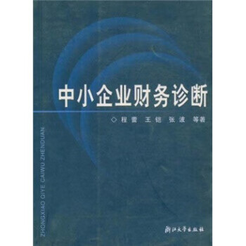 中小企业财务诊断 程蕾等