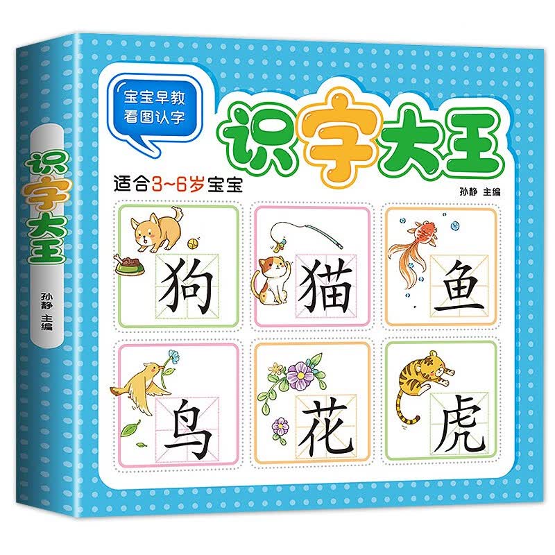 宝宝早教看图认字-识字大王（彩图注音版）根据语文教材精选汉字 高效衔接小学知识