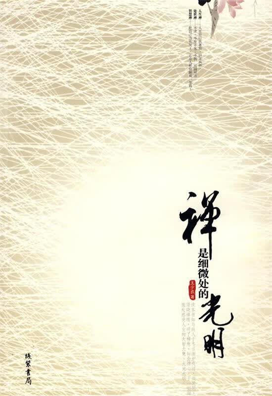 禅是细微处的光明 王少农著【书】