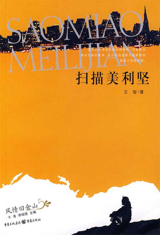 扫描美利坚 王智 著