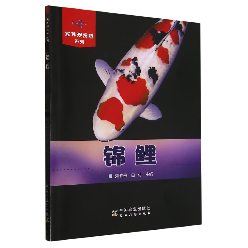 家养观赏鱼系列：锦鲤(家养观赏鱼系列)