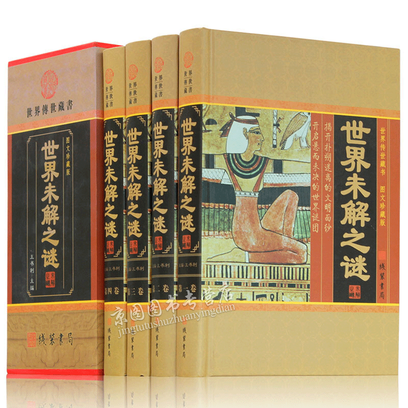 世界未解之谜大全集 4卷 中国未解之谜 悬疑事件 世界未解之谜（青少年版）人类历史宇宙地理 科普百科