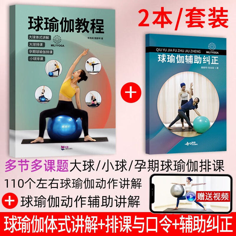 2本套球瑜伽教程+辅助纠正大小球排课大球体式讲解书籍教材孕期球
