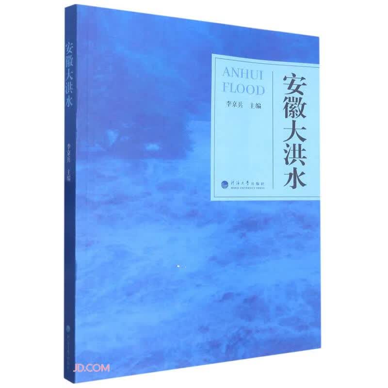 安徽大洪水9787563076314