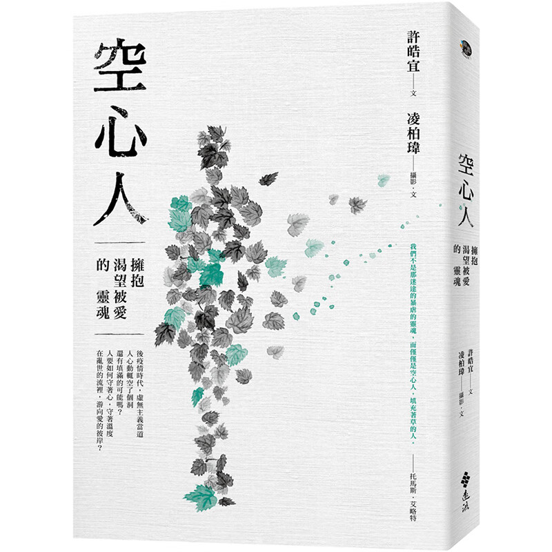 台版 空心人 拥抱渴望被爱的limg魂 远流 许皓宜 凌柏玮 生命意义心理励志书籍