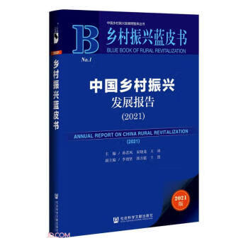 中国乡村振兴发展报告(2021)