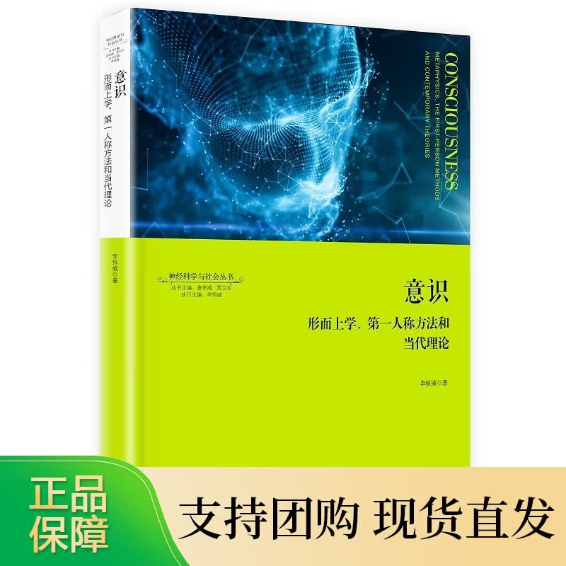 意识：形而上学、人称方法和当代理论