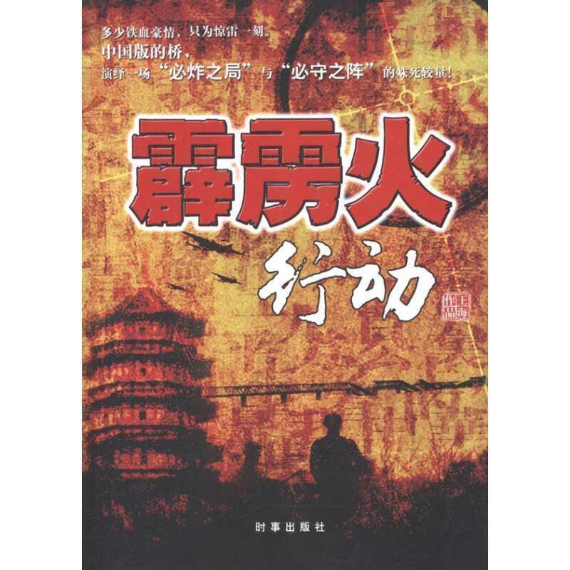 霹雳火行动 王海 著【书】