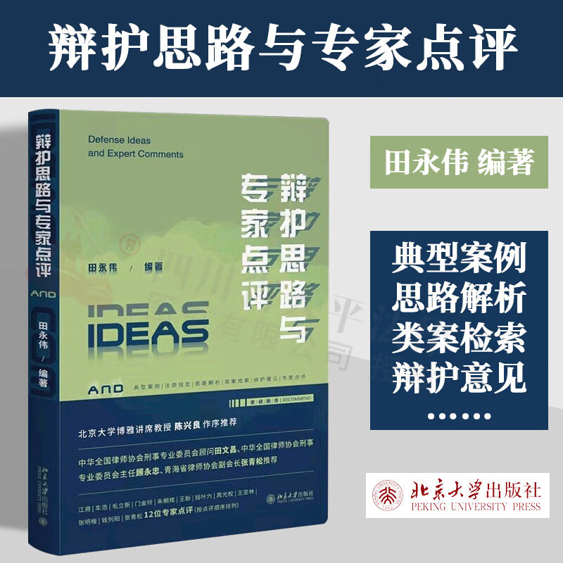 2023新书 辩护思路与专家点评 刑事辩护律师办案实操指南 资深律师案例点评 北京大学出版社 9787301341353