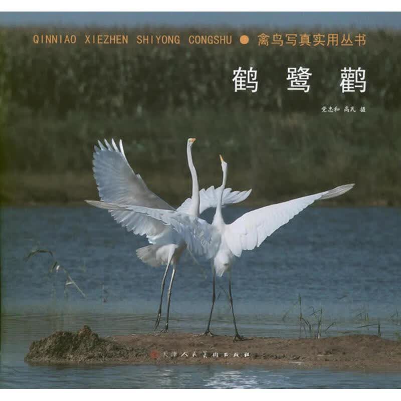 鹤 鹭 鹳 党忠和,高民 著 9787530548707