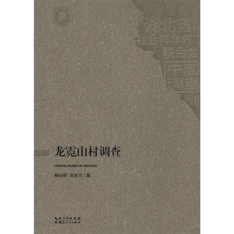 龙霓山村调查