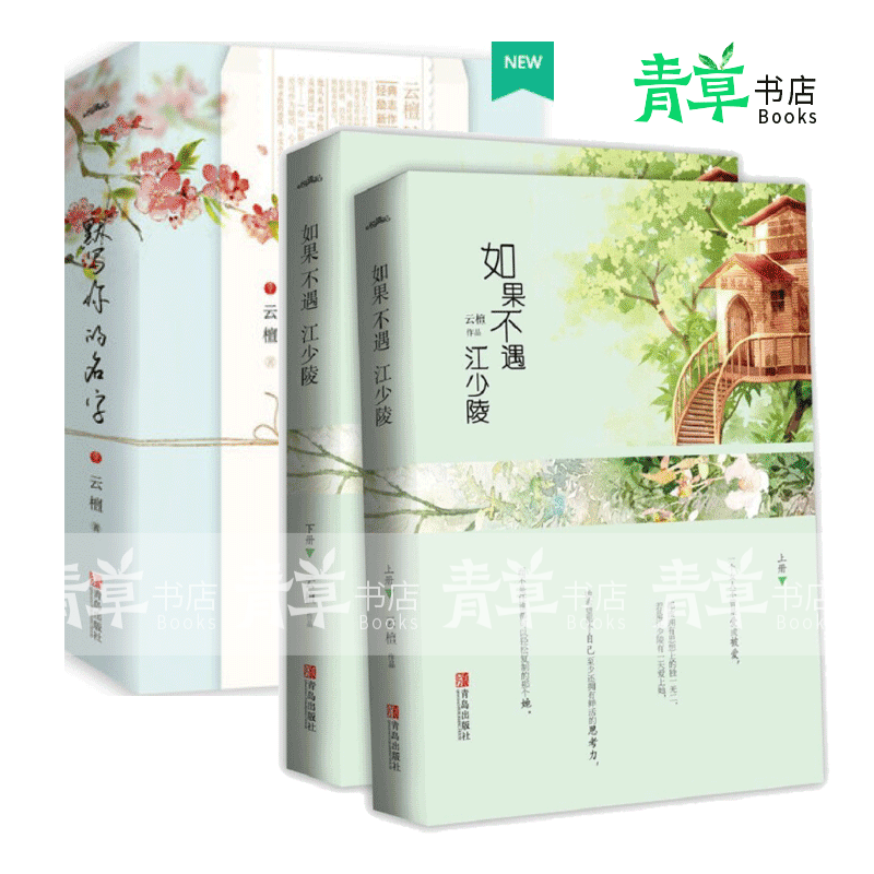 云檀小说书4册默写你的名字+如果不遇江少陵
