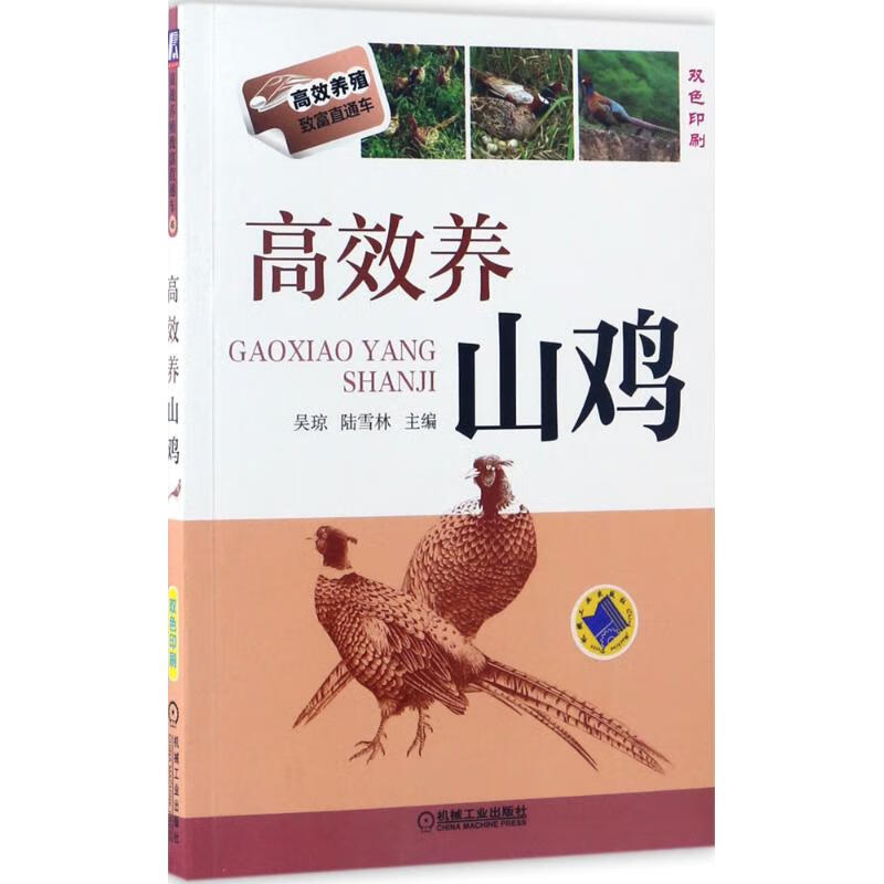 高效养山鸡
