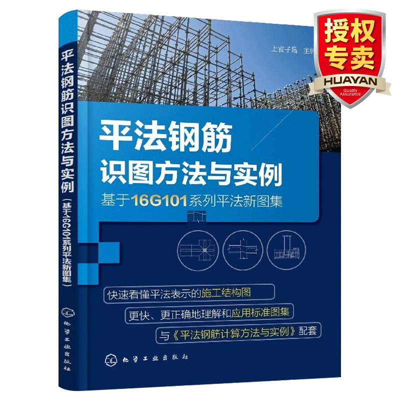 平法钢筋识图方法与实例 基于16G101系列平法新图集 钢筋识图基础施工图识读标准构造详图及识图