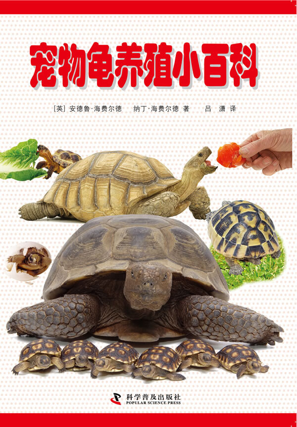 宠物龟养殖小百科【精选】