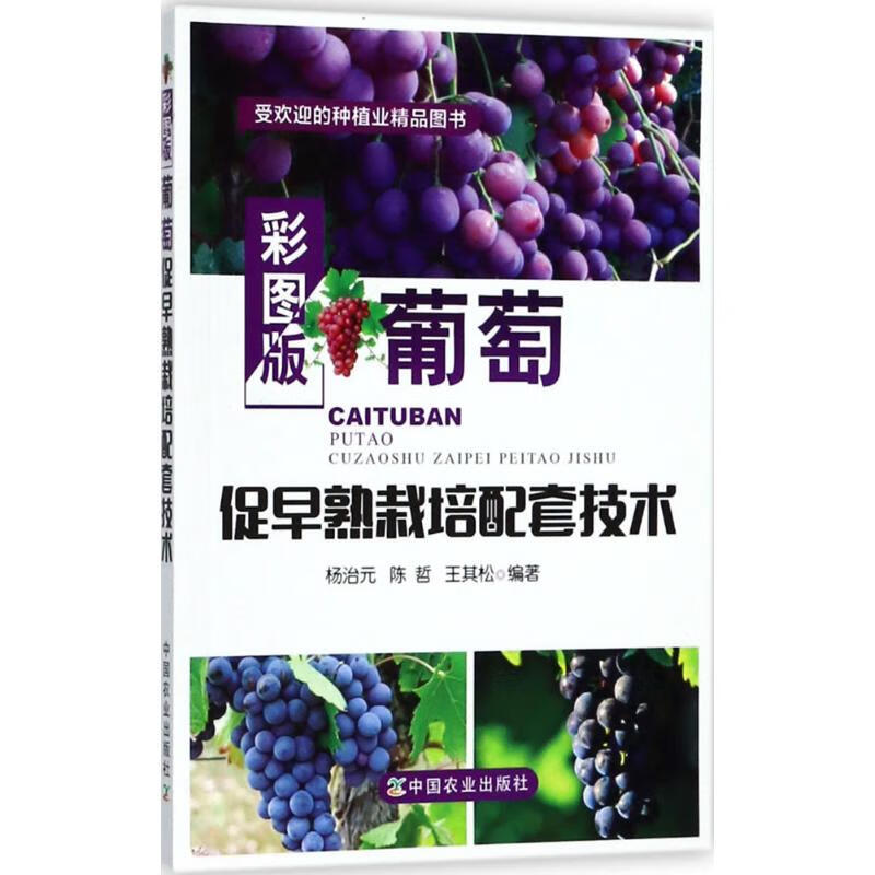 彩图版葡萄促早熟栽培配套技术 杨治元,陈哲,王其松 编 书籍