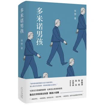 多米诺男孩 张楚 著 9787530220818