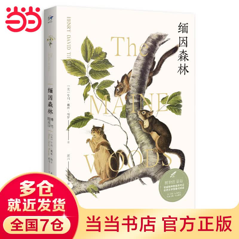 缅因森林（博物图鉴版）