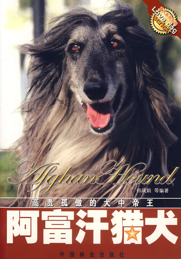 阿富汗猎犬 祁凤娟 等编著【书】
