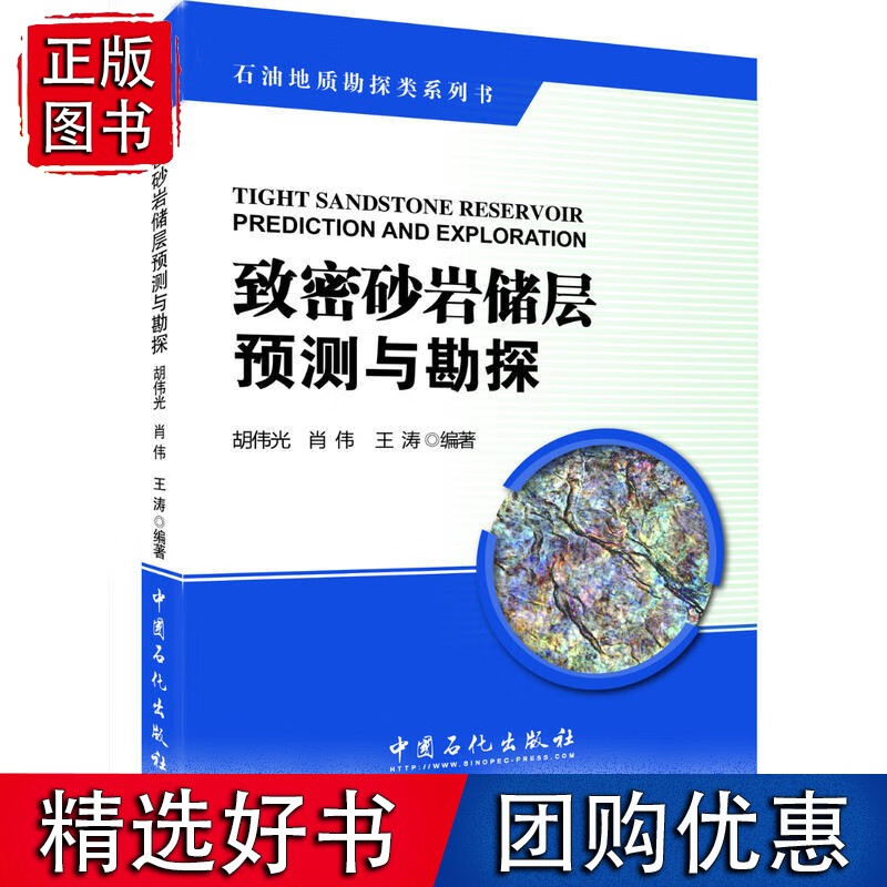 致密砂岩储层预测与勘探
