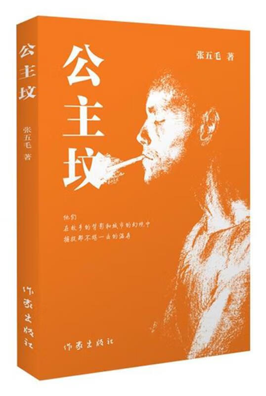 公主坟 张五毛 著【书】