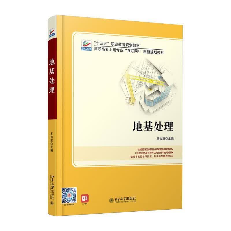 地基处理 王仙芝 北京大学出版社