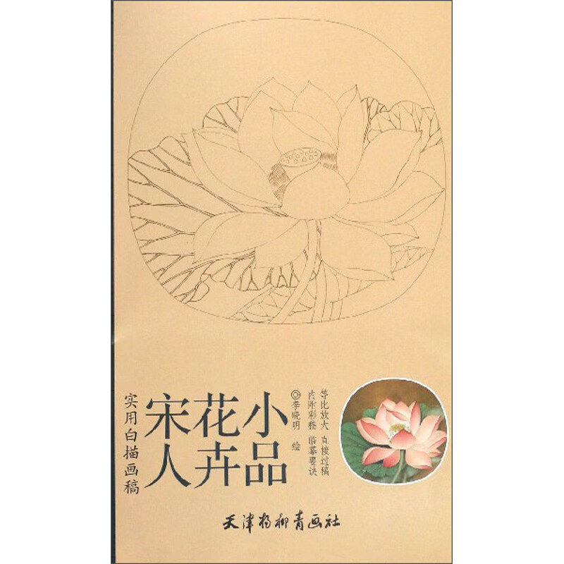宋人花卉小品（实用白描画稿）