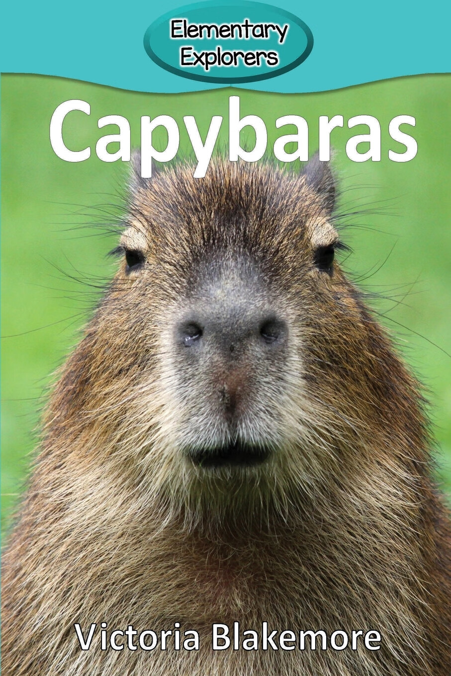 capybara-千图网