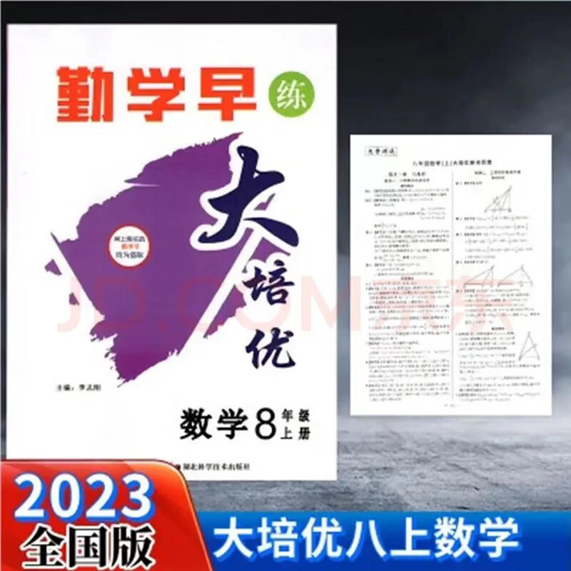 2023版 勤学早大培优 八年级上册数学人教版