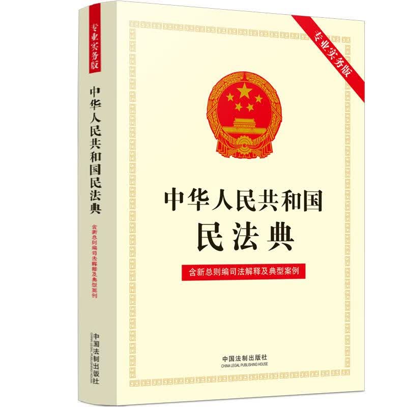 中华人民共和国民法典（专业实务版）：含新总则编司法解释及典型案例 图书