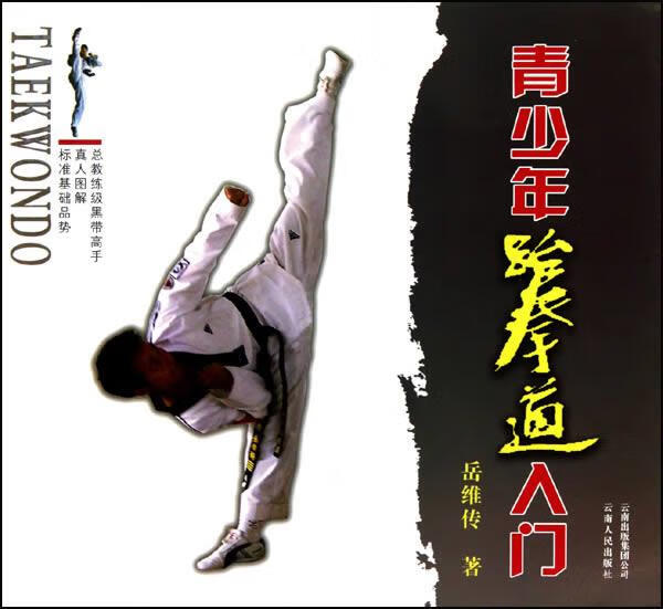 青少年跆拳道入门【好书，下单速发】