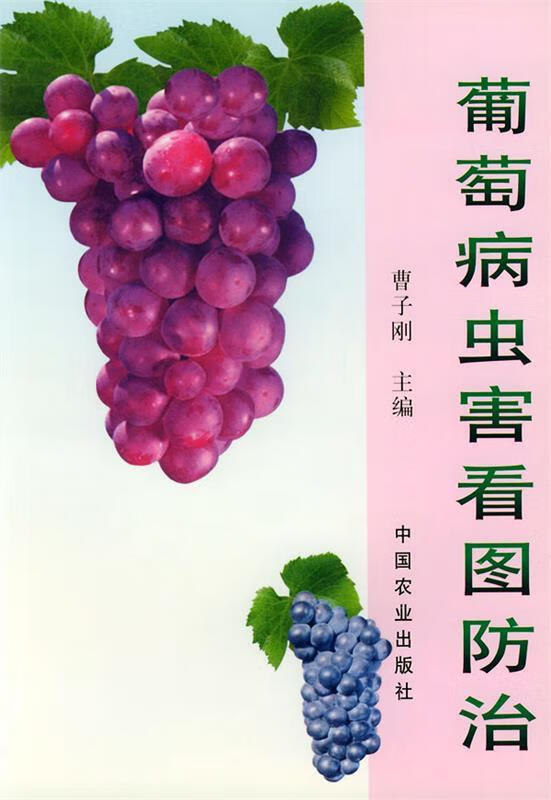 葡萄病虫害看图防治 曹子刚 主编【书】