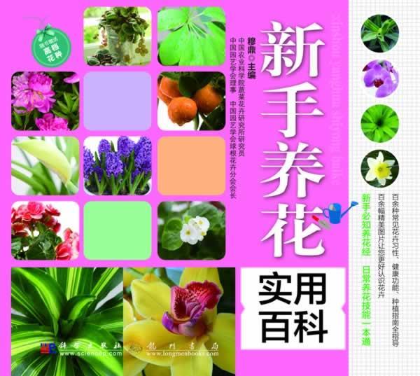 新手养花实用百科