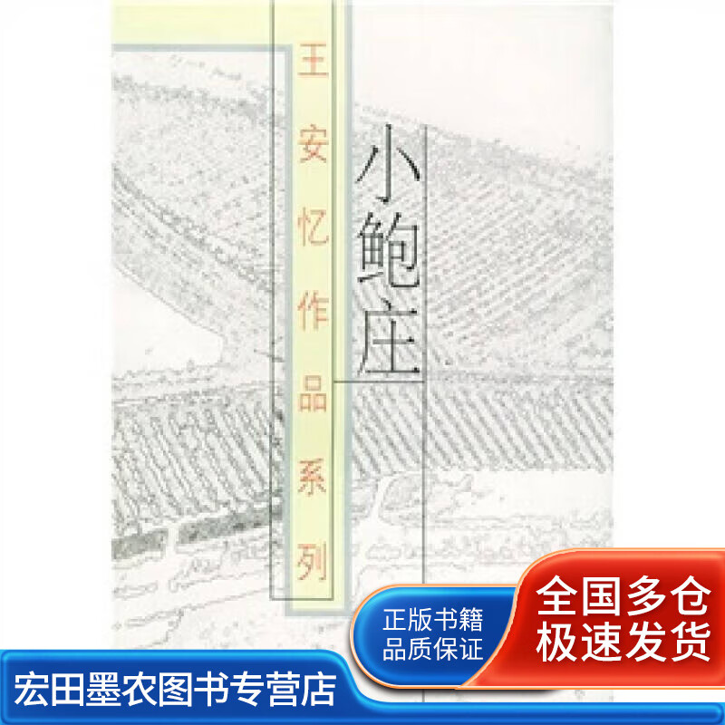 小鲍庄9787532100903【特惠】