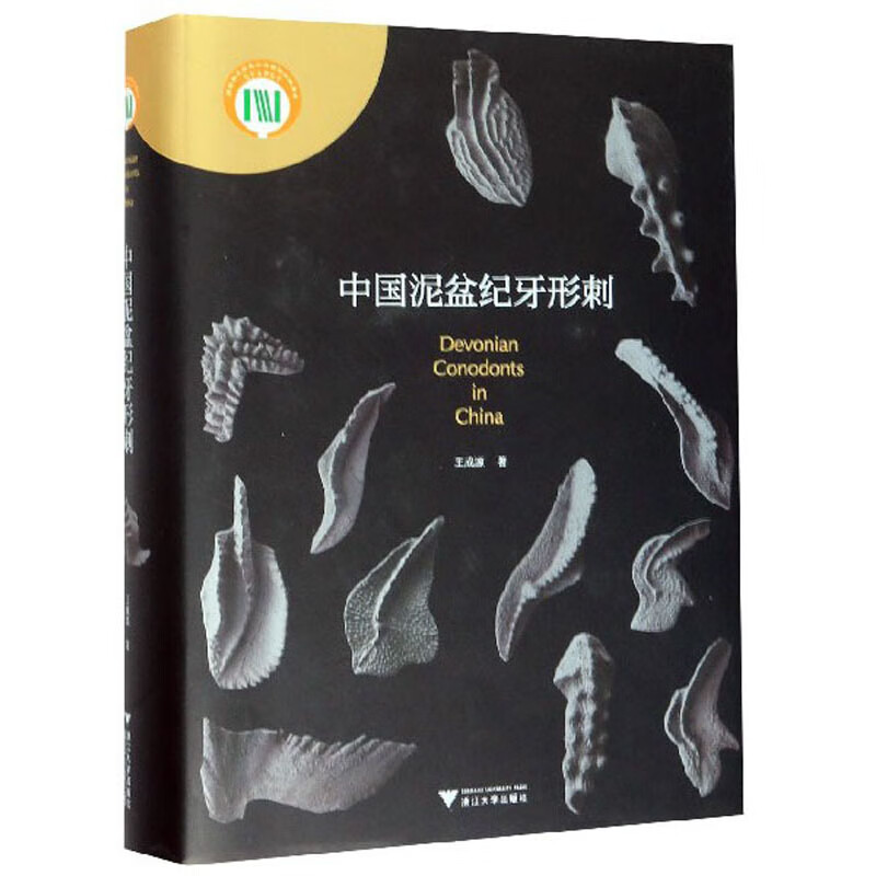 中国泥盆纪牙形刺