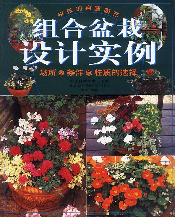组合盆栽设计实例