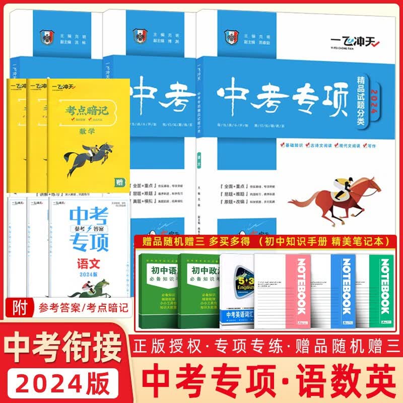 自选】2024新版一飞冲天中考模拟试题汇编语文数学英语物理化学历史道法天津2024版一飞冲天中考专项训练真题模拟训练 中考专项 语数英3本