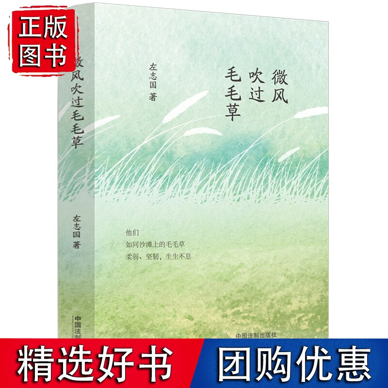 微风吹过毛毛草