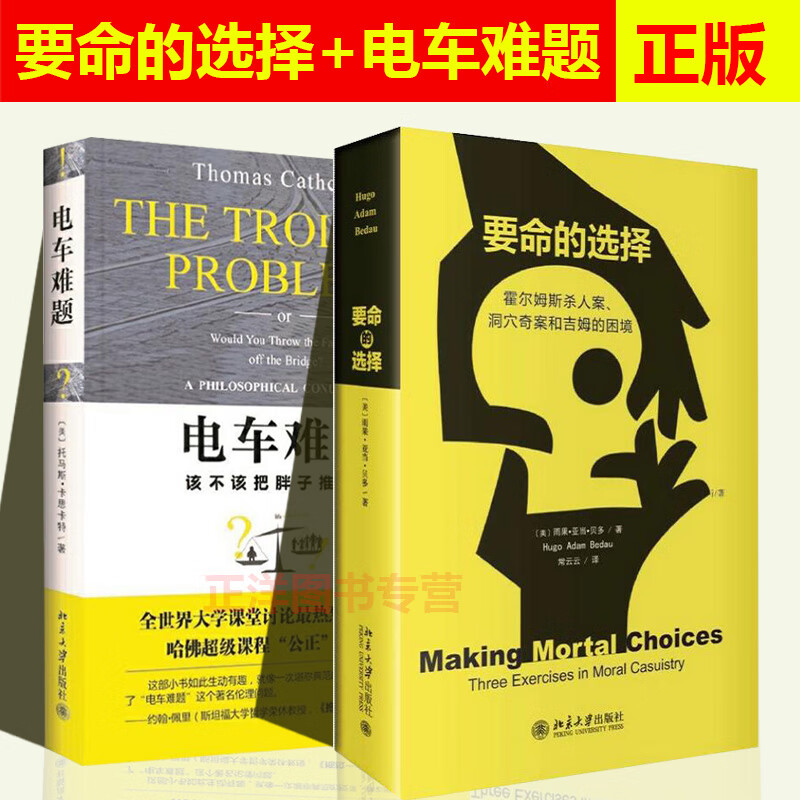 【硬核的半佛仙人B站推荐】电车难题+要命的选择 霍尔姆斯杀人案 霍尔姆斯杀人案洞穴奇案吉姆的困境枕