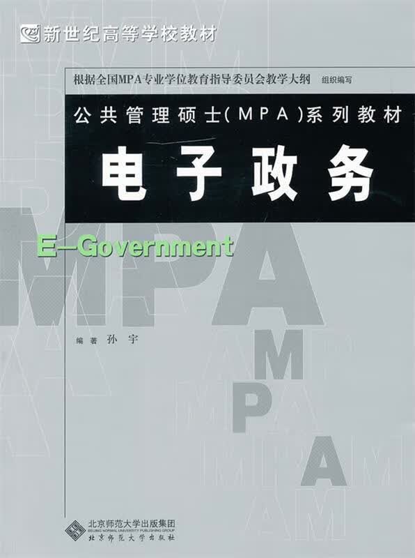 电子政务 孙宇著【好书，下单速发】