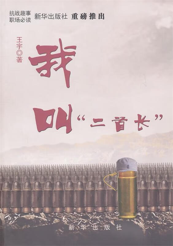 我叫“二首长” 王宇 著