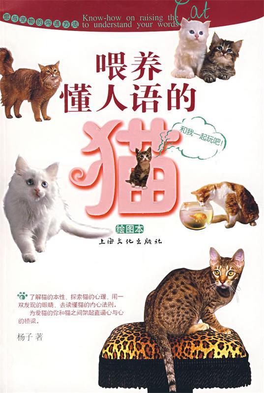 喂养懂人语的猫 杨子 著 上海文化出版社